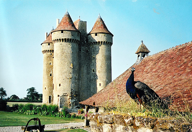 Le Chateau de SARZAY, photos et histoire du chateau fort de Sarzay